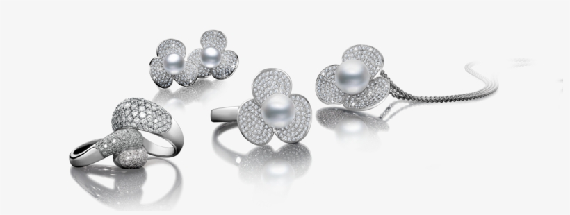 Silver Jewellery Png PNG Image | Transparent PNG Free Download on SeekPNG