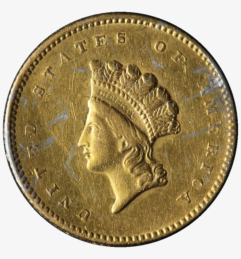 The Executive Coin Company - California Academy Of Sciences PNG Image ...