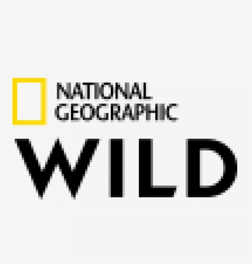 Download Nat Geo Wild - National Geographic Birding Essentials: All The ...