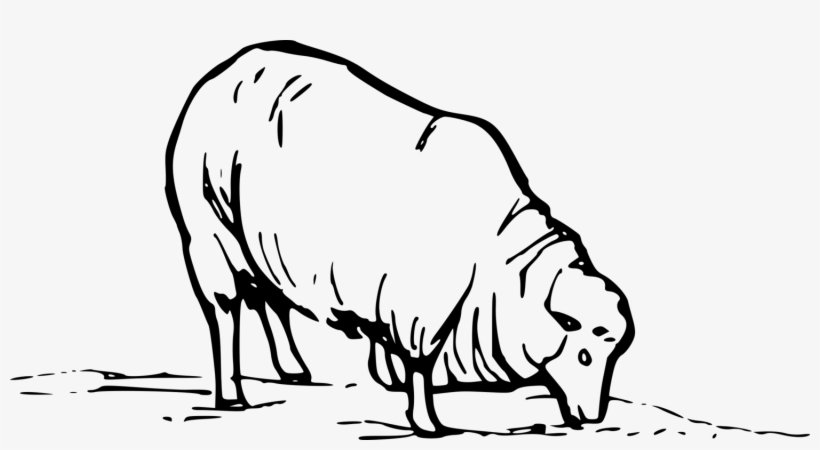 Sheep Eating Clipart Png For Web PNG Image | Transparent PNG Free ...