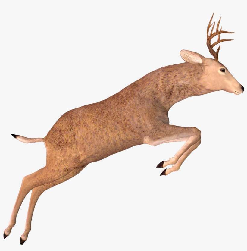 Running Deer Png