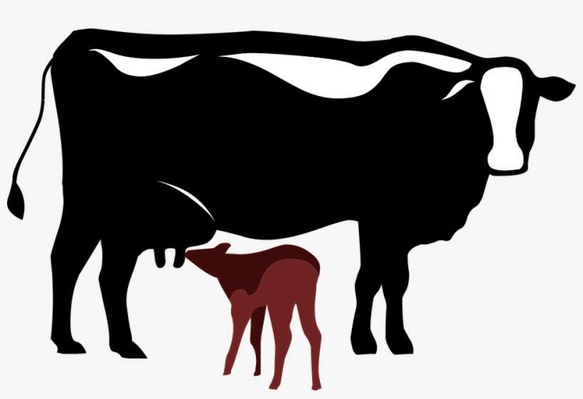 Cow Symbol PNG Image | Transparent PNG Free Download on SeekPNG