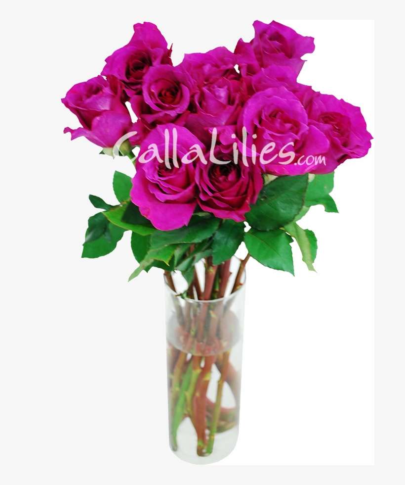Mammy Blue Roses - Floribunda PNG Image | Transparent PNG Free Download ...