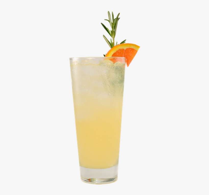 Highball PNG Image | Transparent PNG Free Download on SeekPNG