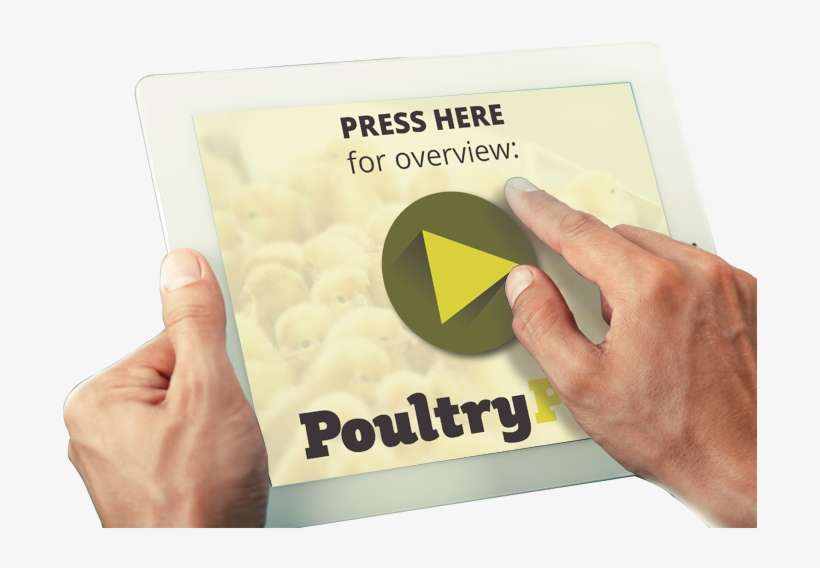 Overview Video - Sign PNG Image | Transparent PNG Free Download on SeekPNG