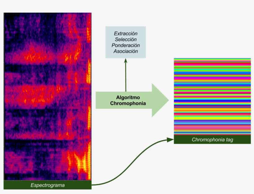Audio Summary Of Chromophonia's Algorithm - Speech Spectrogram PNG ...