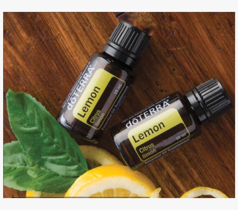 Essential Oil PNG Image | Transparent PNG Free Download on SeekPNG