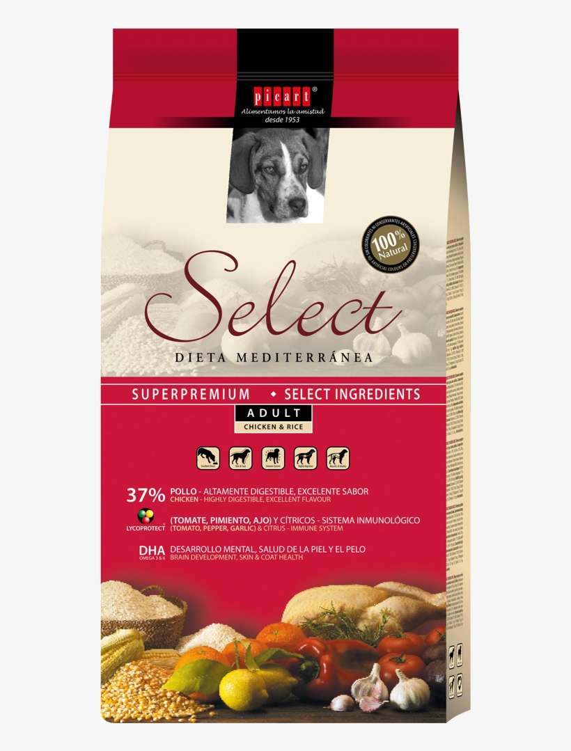 Alimento Para Perros Adultos - Picart Dog Food PNG Image | Transparent ...