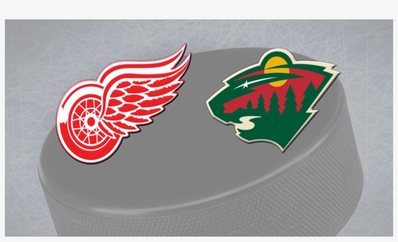 Detroit Red Wings PNG Image | Transparent PNG Free Download on SeekPNG