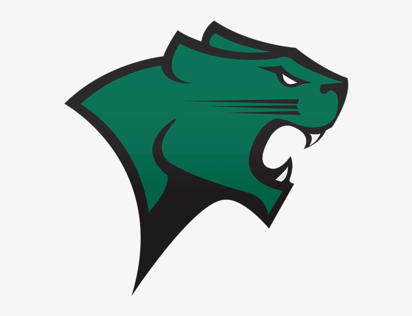 Chicago State - Chicago State University Mascot PNG Image | Transparent ...