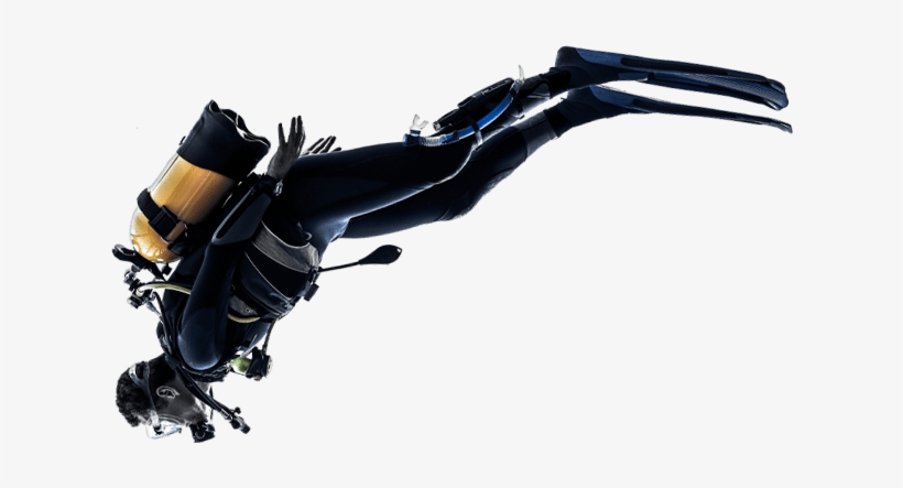 Basic Course - Taucher Im Weissen Hintergrund PNG Image | Transparent ...