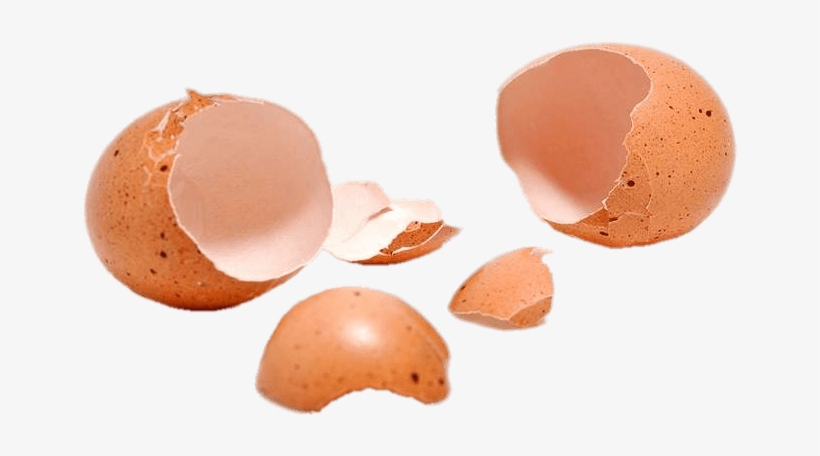 Food - Eggshells - Egg Shells PNG Image | Transparent PNG Free Download ...
