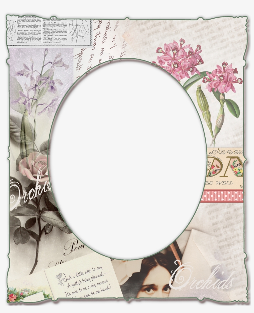 Transparent Png Paper Frame With Orchids - Paper Picture Frames Png PNG ...