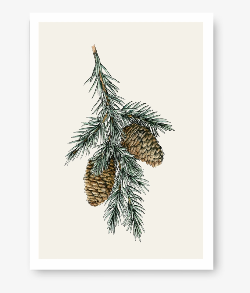 Christmas Green Mini Print Set PNG Image | Transparent PNG Free ...