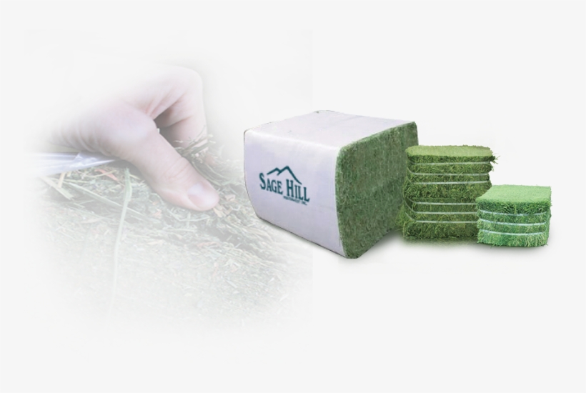 The Stored Hay Is Brought Into A Staging Area Where - Artificial Turf ...