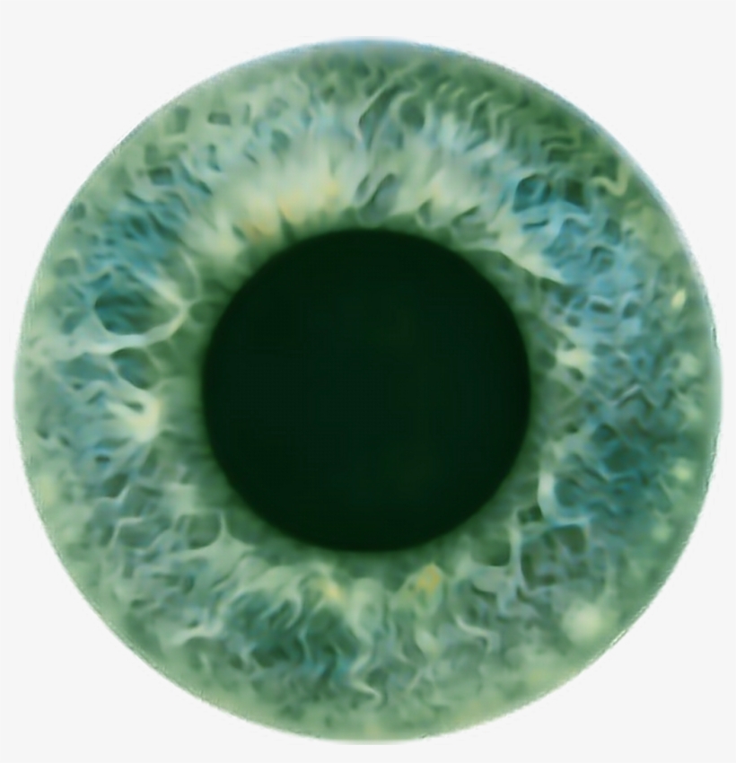 Eye Sticker - Eye Color Chart PNG Image | Transparent PNG Free Download ...