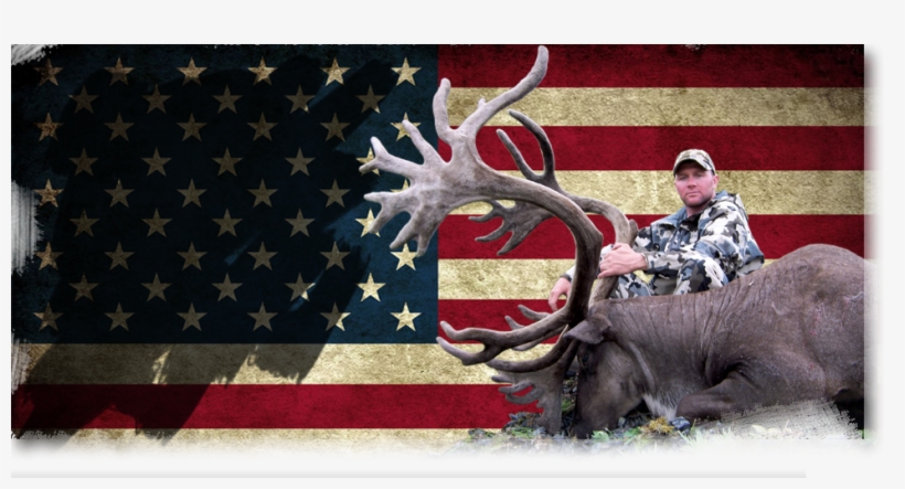 Sfw - Usa Flag PNG Image | Transparent PNG Free Download on SeekPNG