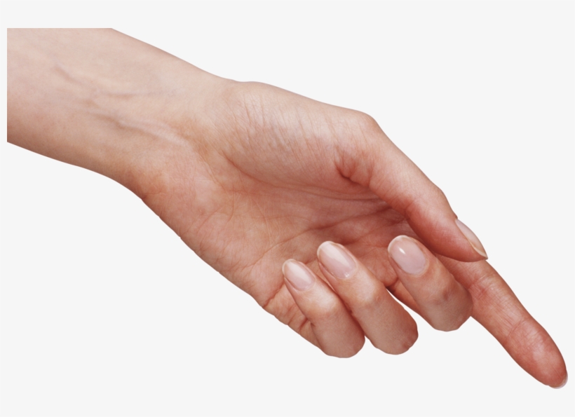 Hands Png Hand Image - Hand Png PNG Image | Transparent PNG Free ...
