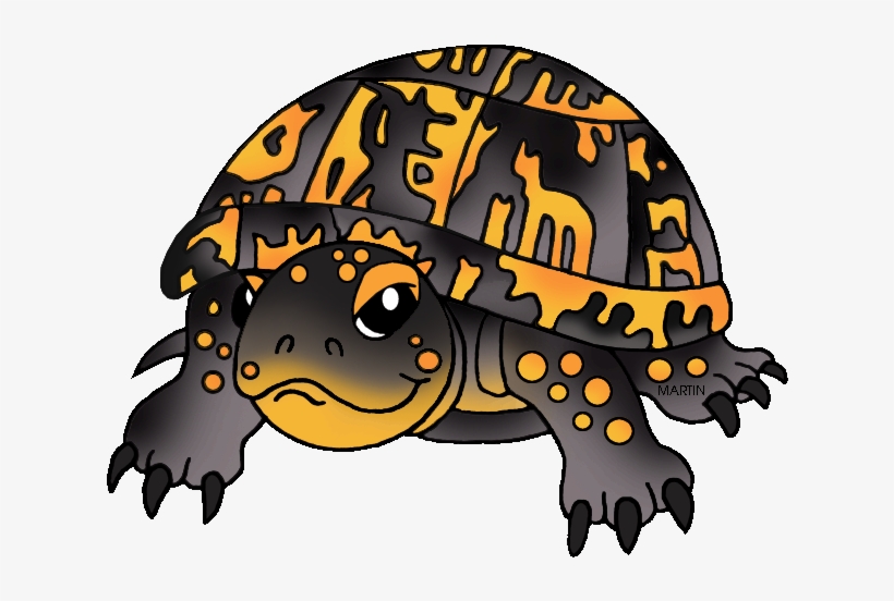 Clipart Turtle Box Turtle - Box Turtle Clip Art PNG Image | Transparent ...