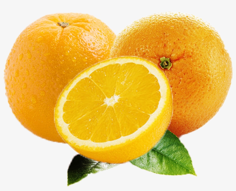 Download - Rangpur PNG Image | Transparent PNG Free Download on SeekPNG