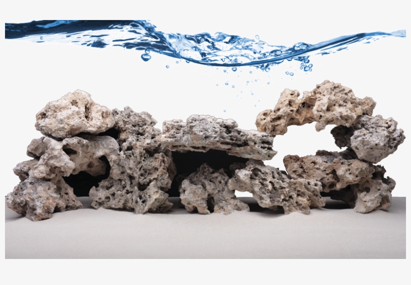 More Views - Rock Reef Png PNG Image | Transparent PNG Free Download on ...