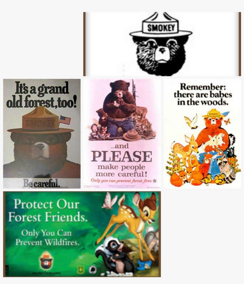 O Promotional Slogans - Wildfire Slogans PNG Image | Transparent PNG ...