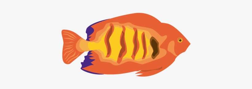 Playa Png - Pomacentridae PNG Image | Transparent PNG Free Download on ...