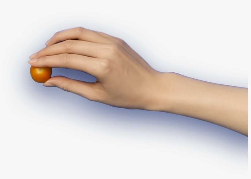 Since - Sphere PNG Image | Transparent PNG Free Download on SeekPNG