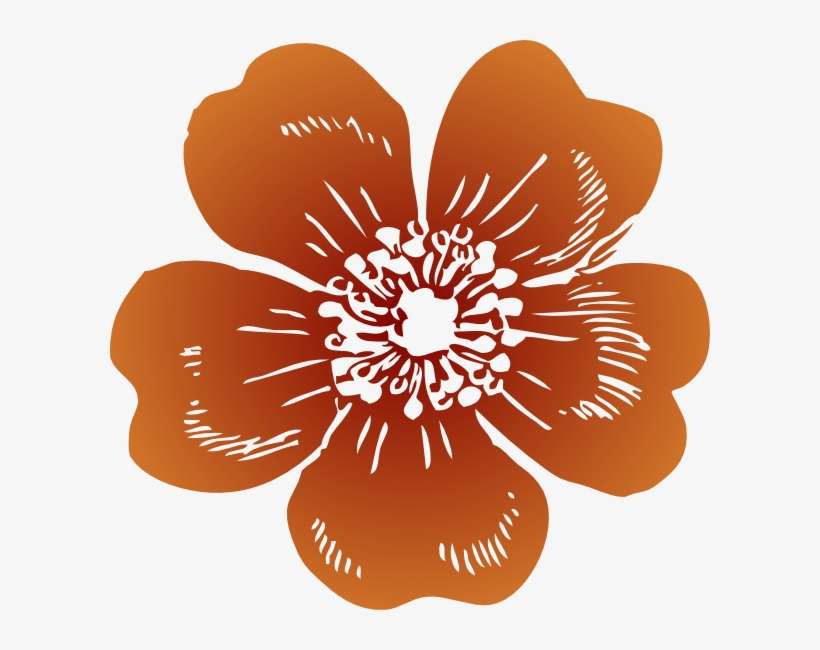Free Download Wild Rose Vector PNG Image | Transparent PNG Free ...