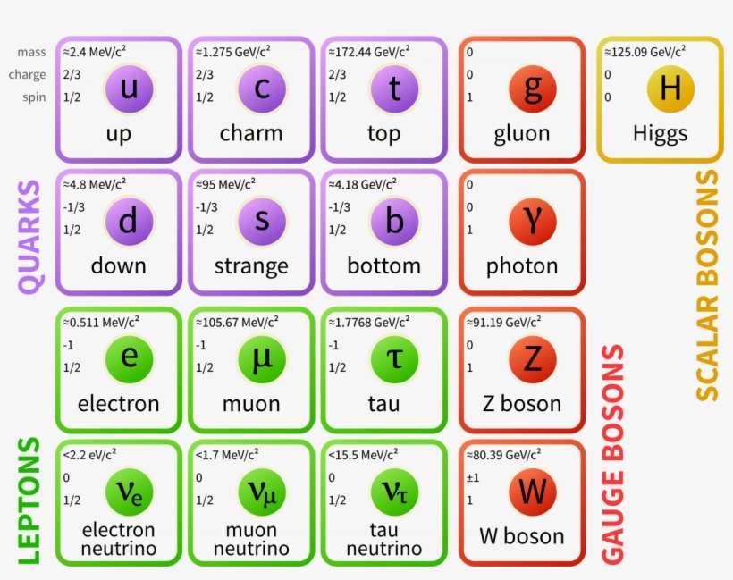 Standard Model PNG Image | Transparent PNG Free Download on SeekPNG