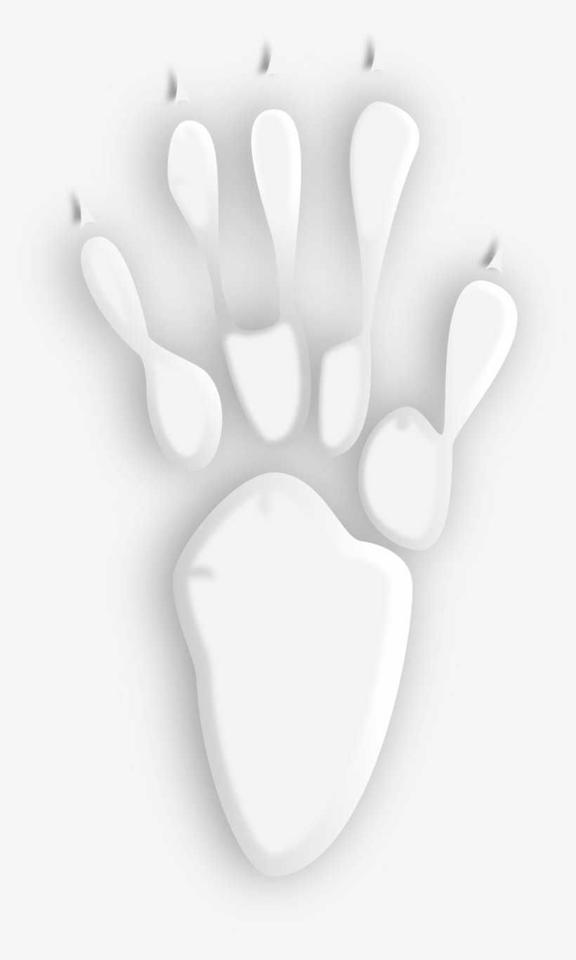 This Free Icons Png Design Of Footprint PNG Image | Transparent PNG ...