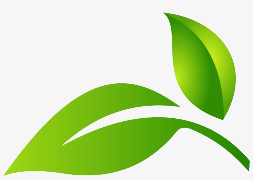 Download Leaf-logo - Green Leaf Png Logo | Transparent PNG Download ...
