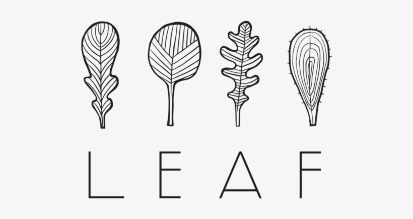 Leaf Logo Png PNG Image | Transparent PNG Free Download on SeekPNG