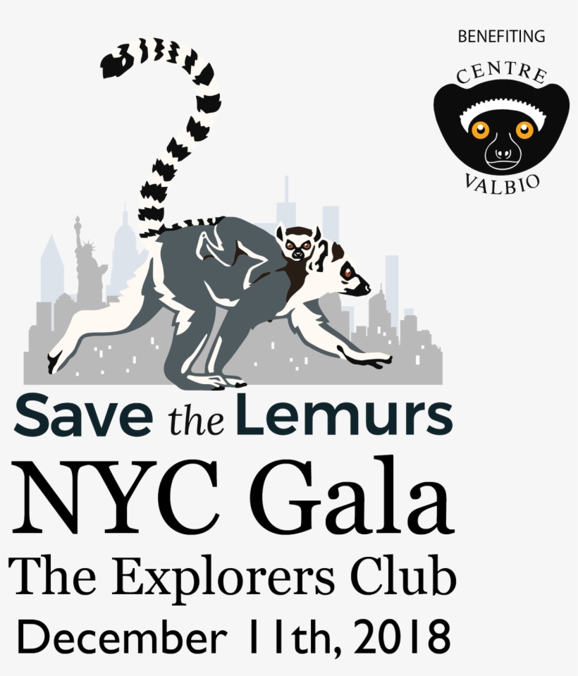 Download Lemur-logo - Centre Valbio | Transparent PNG Download | SeekPNG