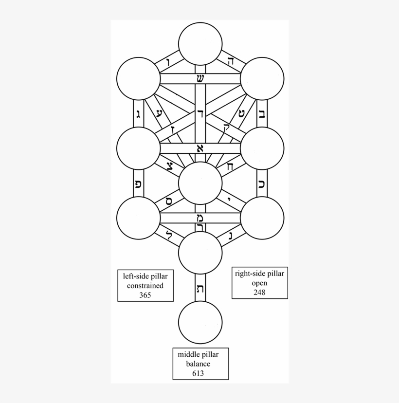 The Complete Set Of 22 Elementary Particles - Tree Of Life PNG Image ...