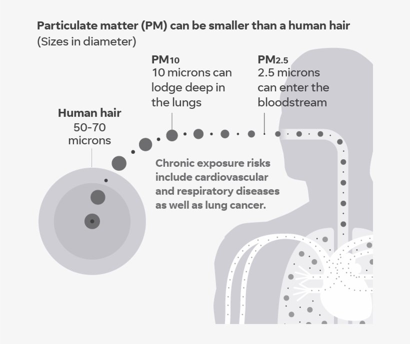 Download Tiny Particles Pose Big Health Risks - Diagram | Transparent ...