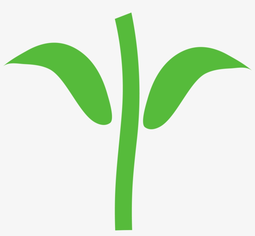 Stalk Clipart Stem - Green Stem Png Transparent PNG Image | Transparent ...