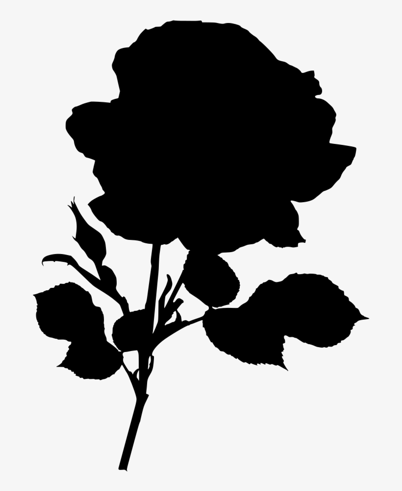 Download Png - Stock.xchng PNG Image | Transparent PNG Free Download on ...