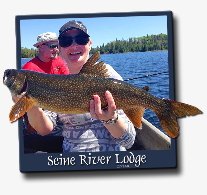 Fishing PNG Image | Transparent PNG Free Download on SeekPNG