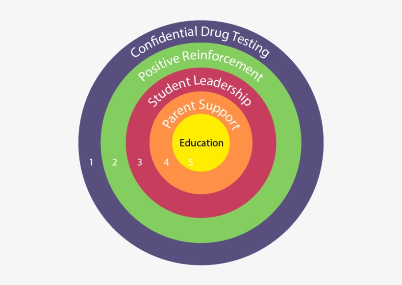 Circle PNG Image | Transparent PNG Free Download on SeekPNG