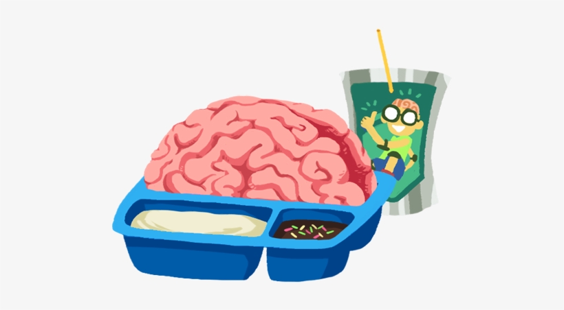 Brain Food Lunch PNG Image | Transparent PNG Free Download on SeekPNG