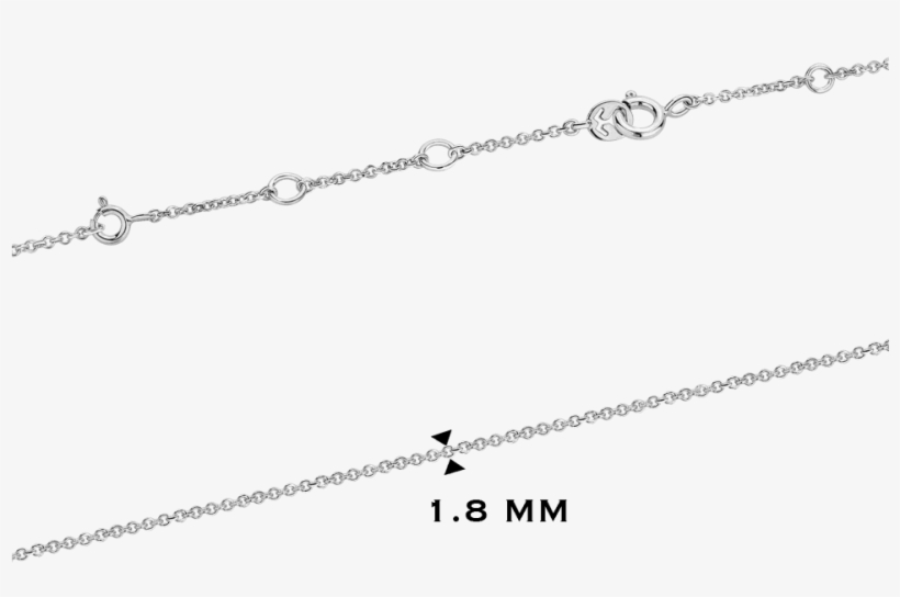 Lightbox - Chain PNG Image | Transparent PNG Free Download on SeekPNG