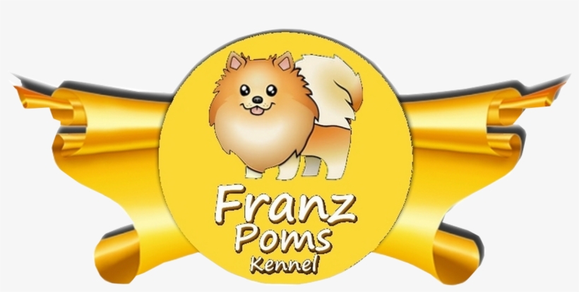 Download Franz Logo Fotos - Pomeranian | Transparent PNG Download | SeekPNG