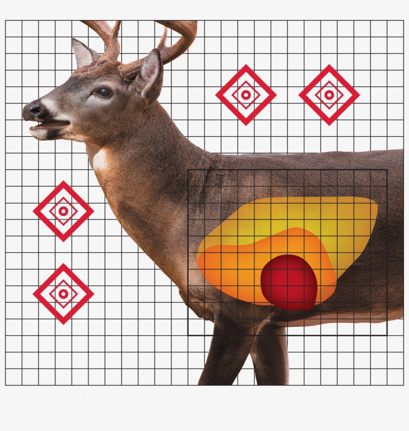 Quick View PNG Image | Transparent PNG Free Download on SeekPNG