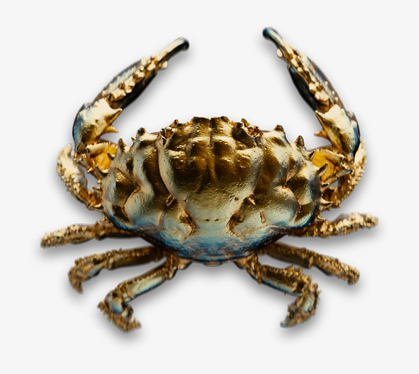 Save To Collection - Chesapeake Blue Crab PNG Image | Transparent PNG ...
