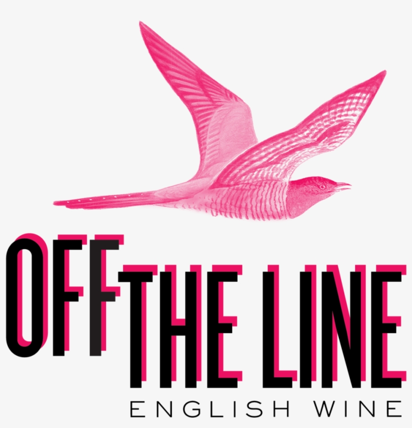 71917 Logo 2018 Aw2 71917 Logo 2018 Aw Colourbg Logo - Cuckoo PNG Image ...