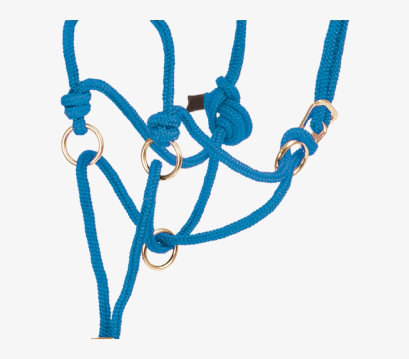 Blue Natural Training Bitless Bridle Rope Control Halter - Mustang ...