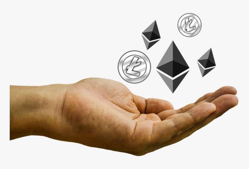 Hand Begging PNG Image | Transparent PNG Free Download on SeekPNG