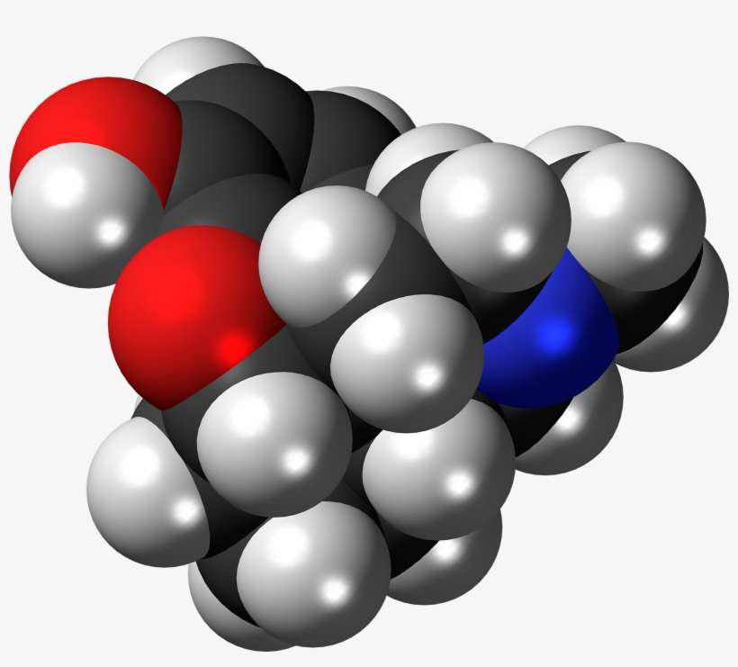 Desomorphine Molecule Spacefill - Illustration PNG Image | Transparent ...