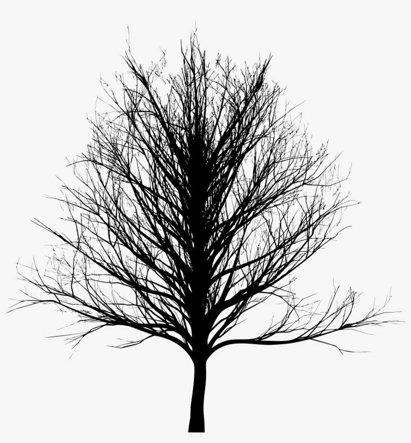 This Free Icons Png Design Of Skinny Tree Silhouette PNG Image ...